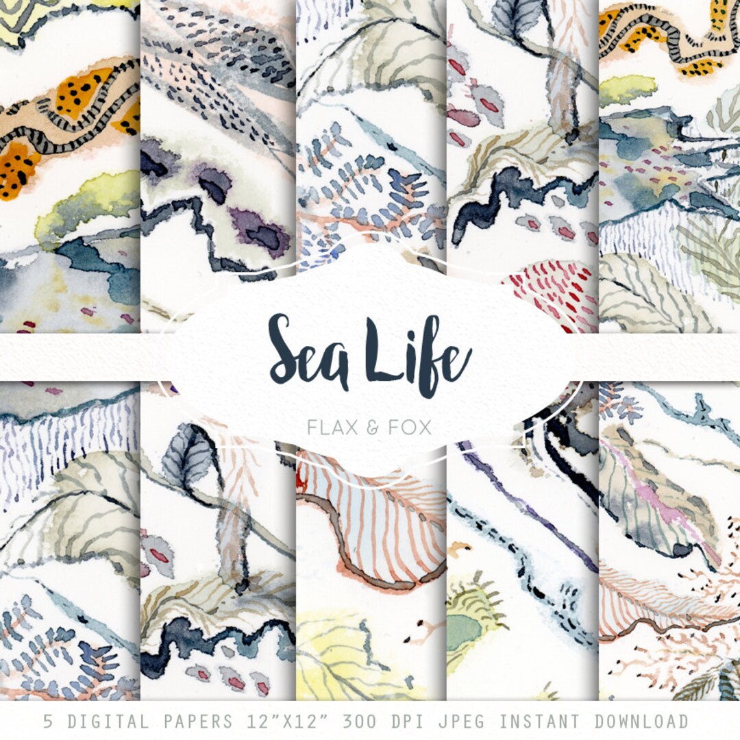 Sea Life Digital Paper Flower Digital Paper, Wedding Floral, Patterns ...