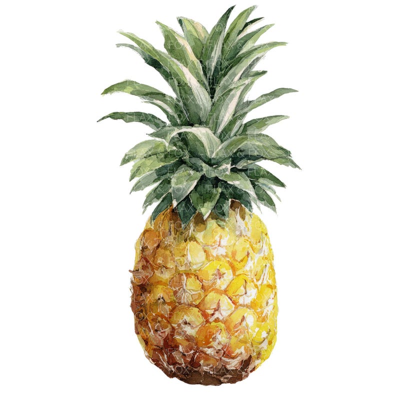 15 Pineapple Clipart L Tropical Fruit Illustration L JPG Digital ...