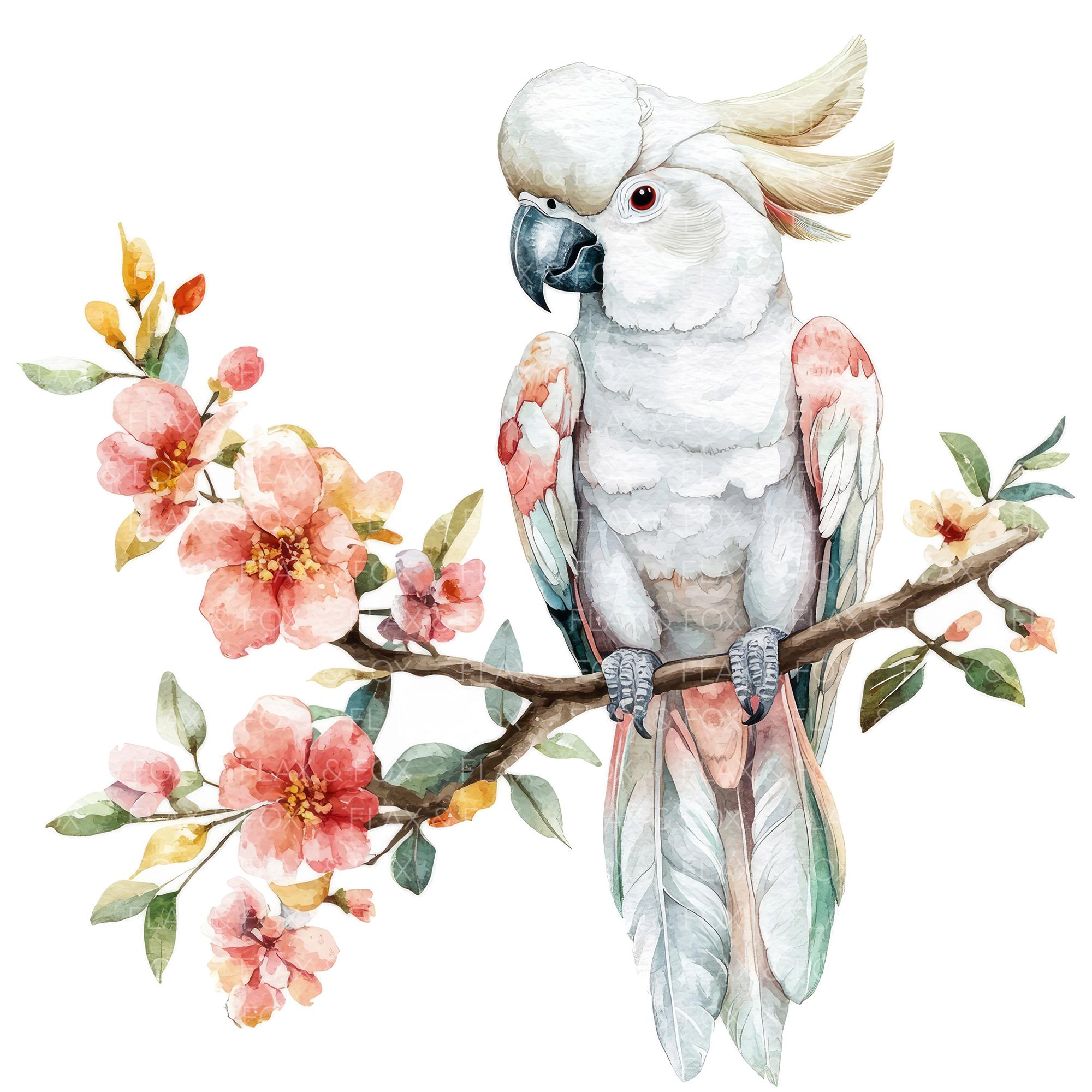 12 Tropical Cockatoo Clipart L Parrot Bird and Flower L JPG Digital ...