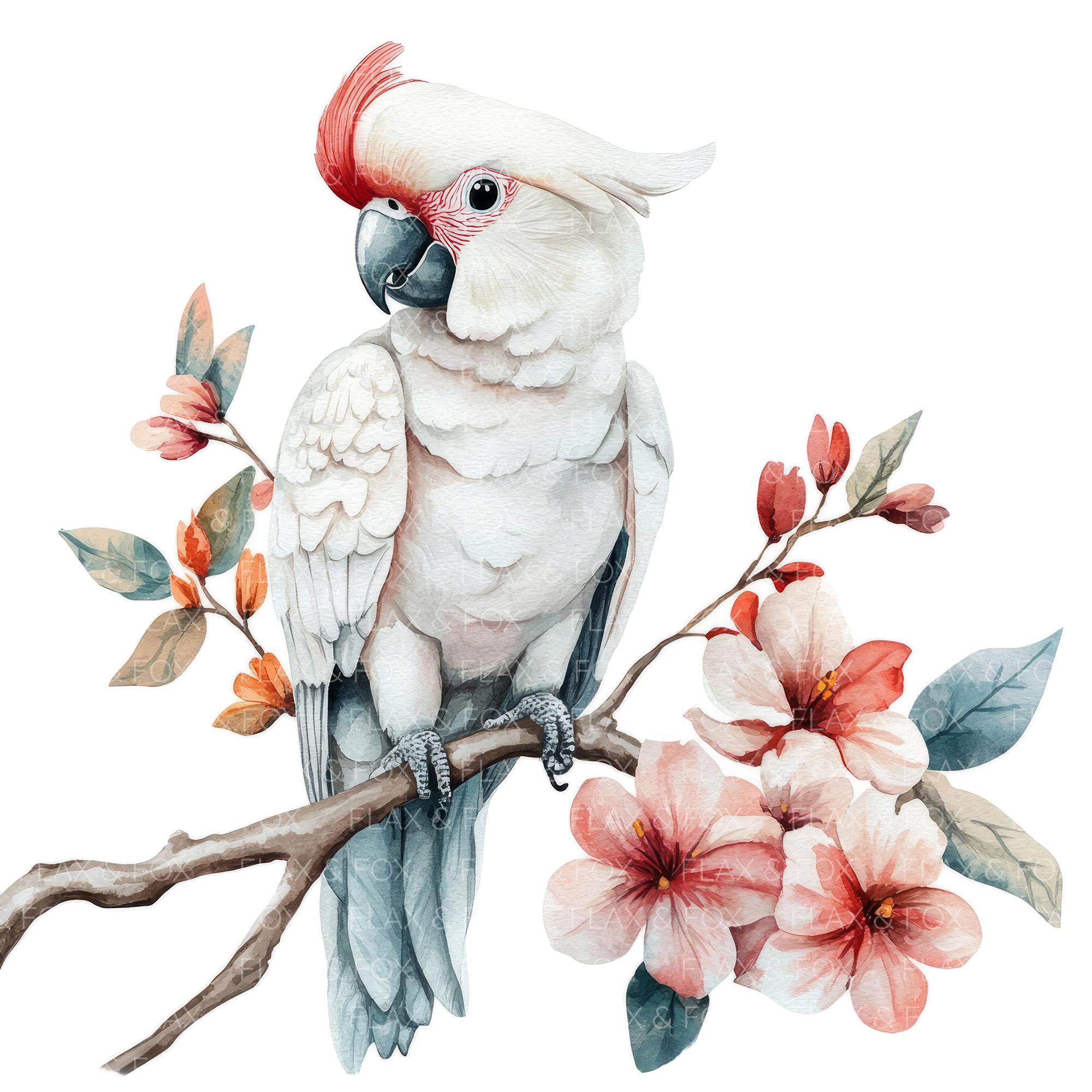 12 Tropical Cockatoo Clipart L Parrot Bird and Flower L JPG Digital ...