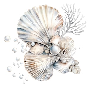 10 Seashell Clipart L Sea Shells Coral L JPG Digital Download L ...