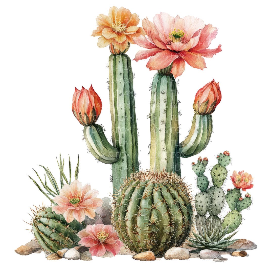 16 Desert Cactus Clipart L Blooming Cactus Mix L JPG Digital Download L ...