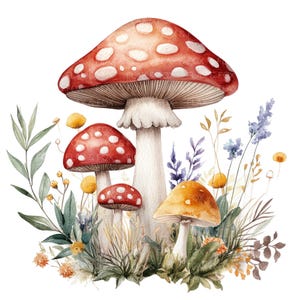 14 Agaric Mushroom Clipart L Forest Floral L JPG Digital Download L Printable Watercolor Clipart ...