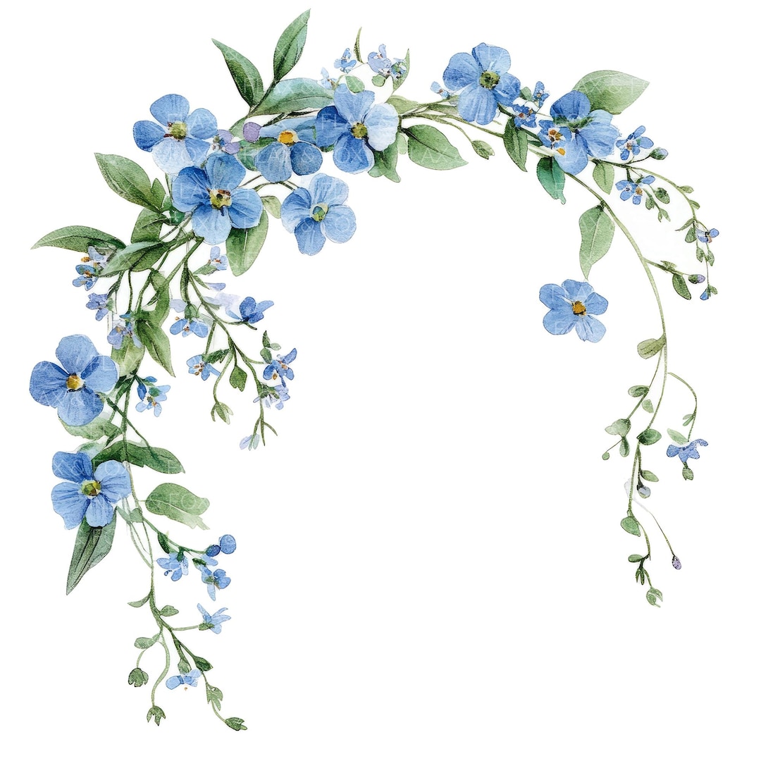 12 Forget Me Not Arch Clipart L Blue Flowers L JPG Digital Download L ...