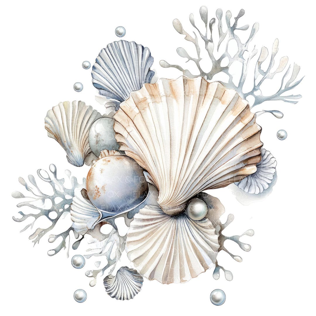 10 Seashell Clipart L Sea Shells Coral L JPG Digital Download L ...