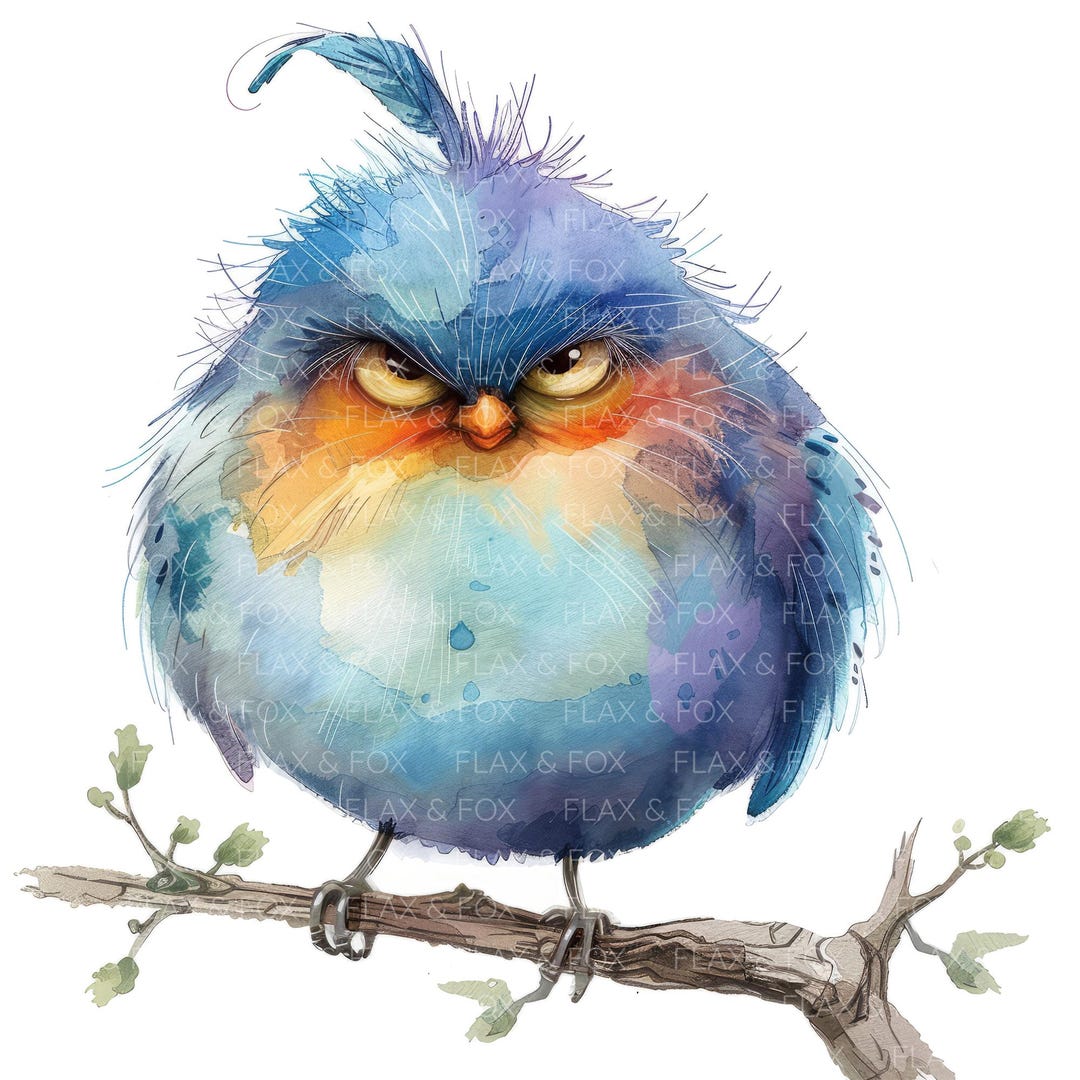 17 Grumpy Birds Clipart L Cute Fluffy Bird Watercolor L JPG Digital ...