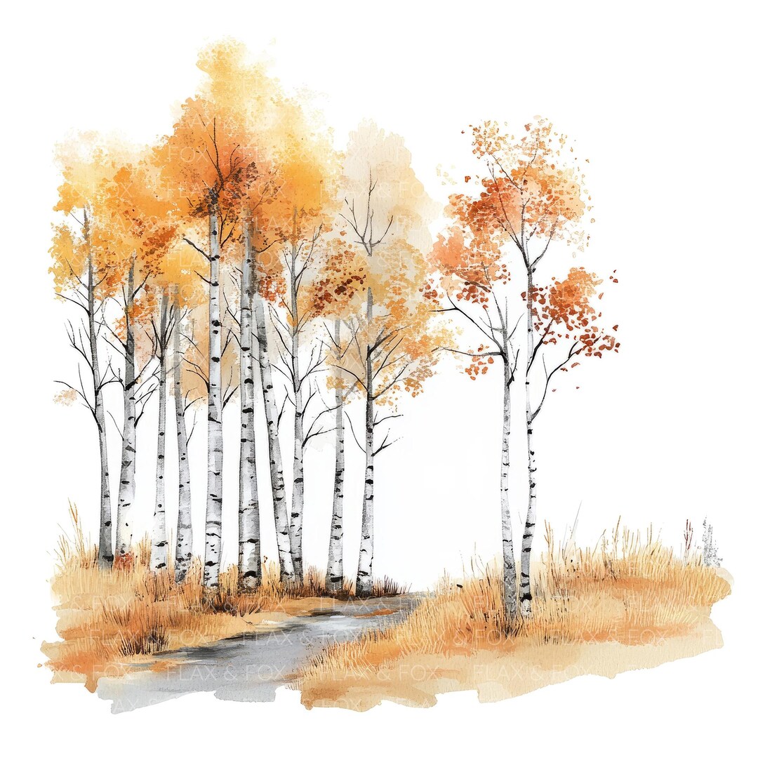 12 Autumn Birch Trees Clipart L Fall Decor L JPG Digital Download L ...