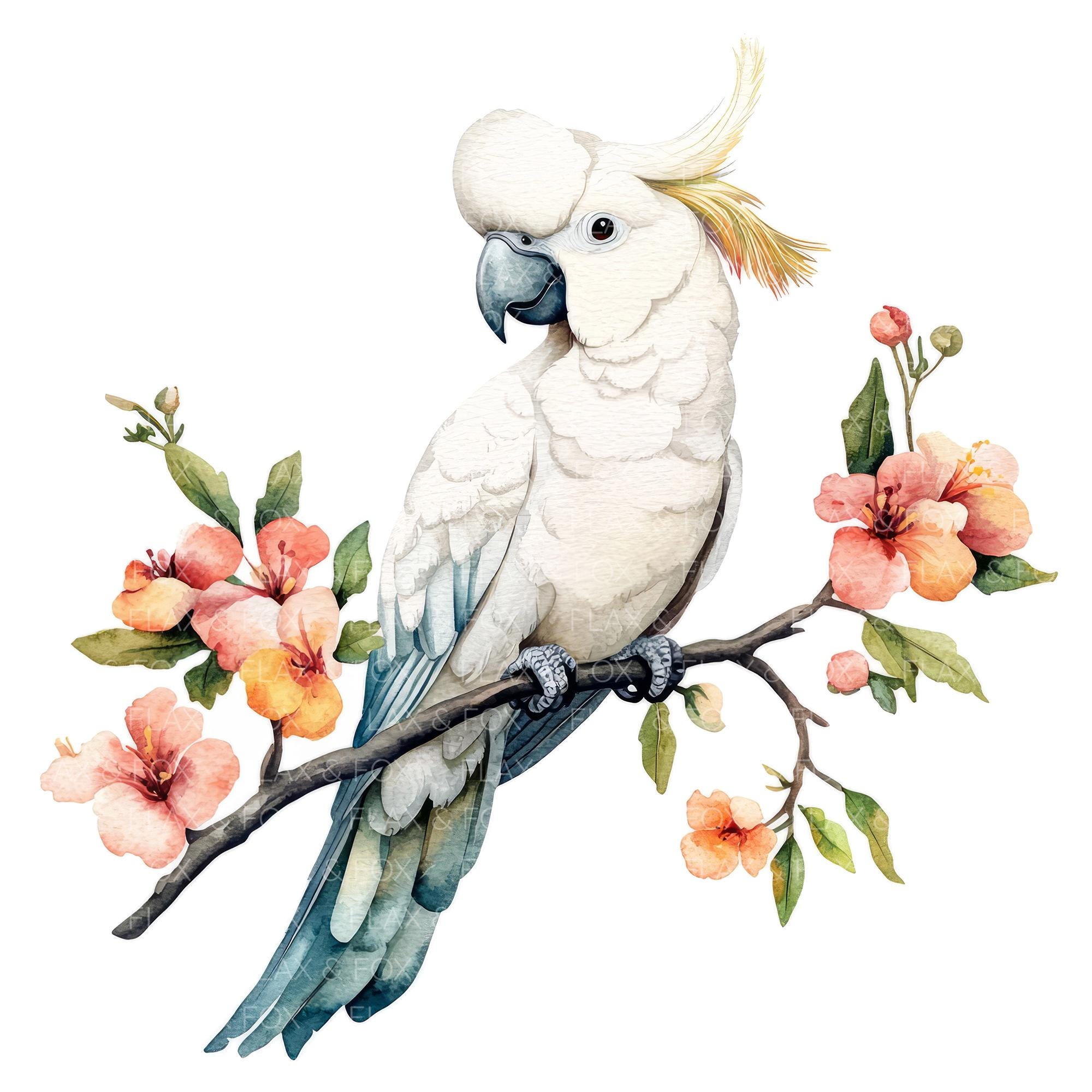 12 Tropical Cockatoo Clipart L Parrot Bird and Flower L JPG Digital ...