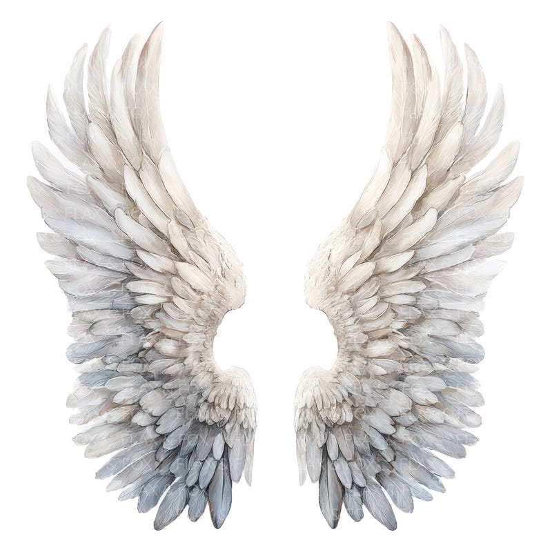 White and Grey Bird Wings - Etsy