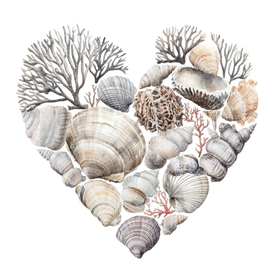 10 Seashells Heart Clipart L Sea Coral Love L JPG Digital Download L ...