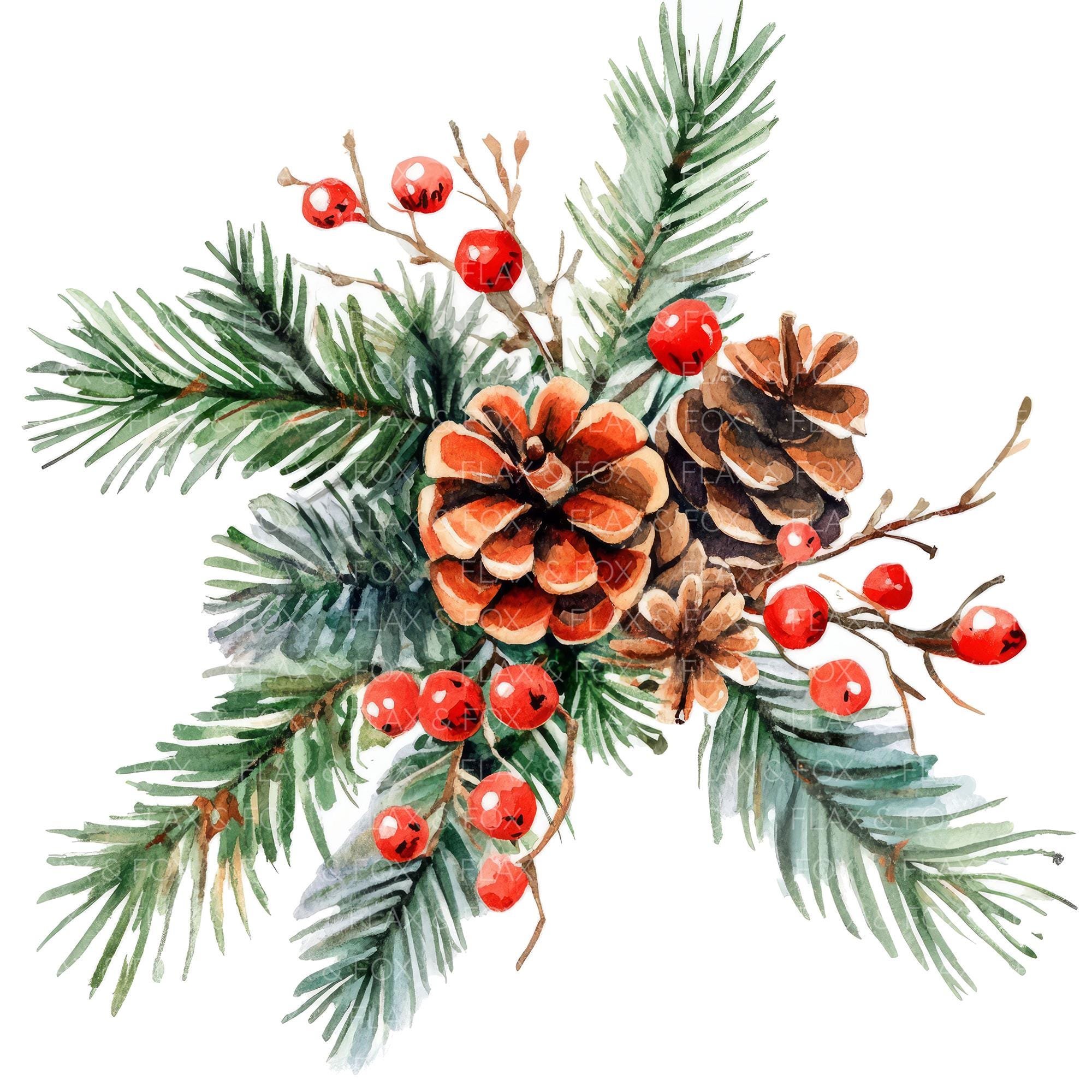 10 Christmas Decor Clipart L Evergreen Xmas Holly L JPG Digital ...