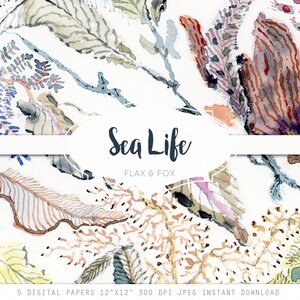 Sea Life Digital Paper Flower Digital Paper, Wedding Floral, Patterns ...