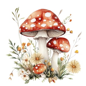 14 Agaric Mushroom Clipart L Forest Floral L JPG Digital Download L Printable Watercolor Clipart ...