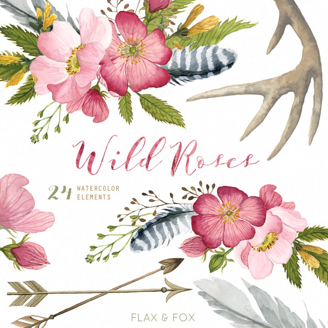 Wild Roses 24 Watercolor Elements, Hand Painted Clipart, Floral Wedding ...
