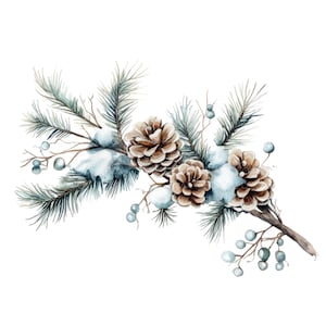 12 Winter Branch Clipart L Evergreen Christmas Decor L JPG Digital ...