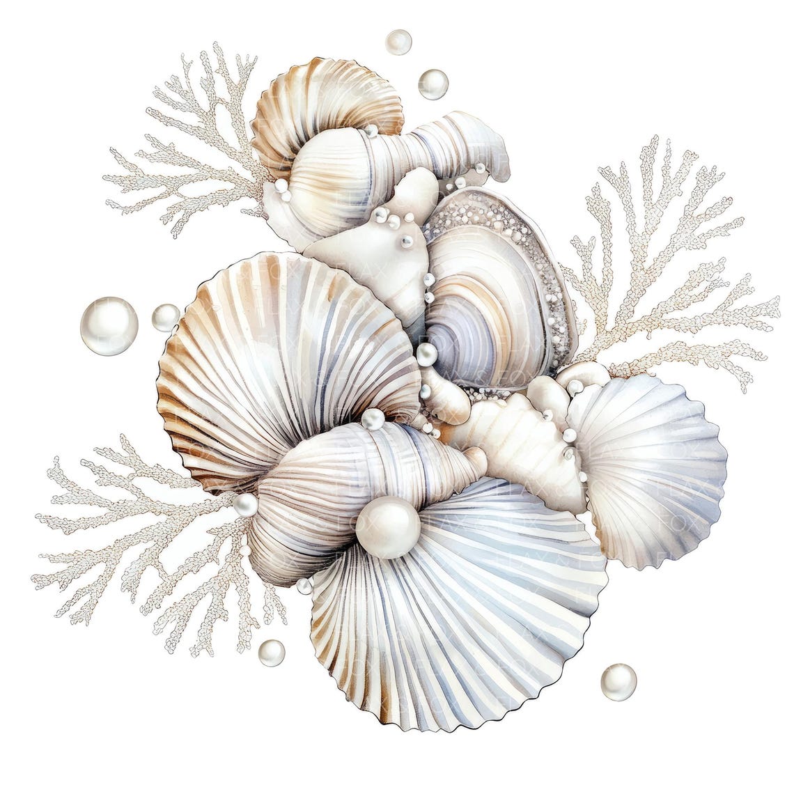 10 Seashell Clipart L Sea Shells Coral L JPG Digital Download L ...