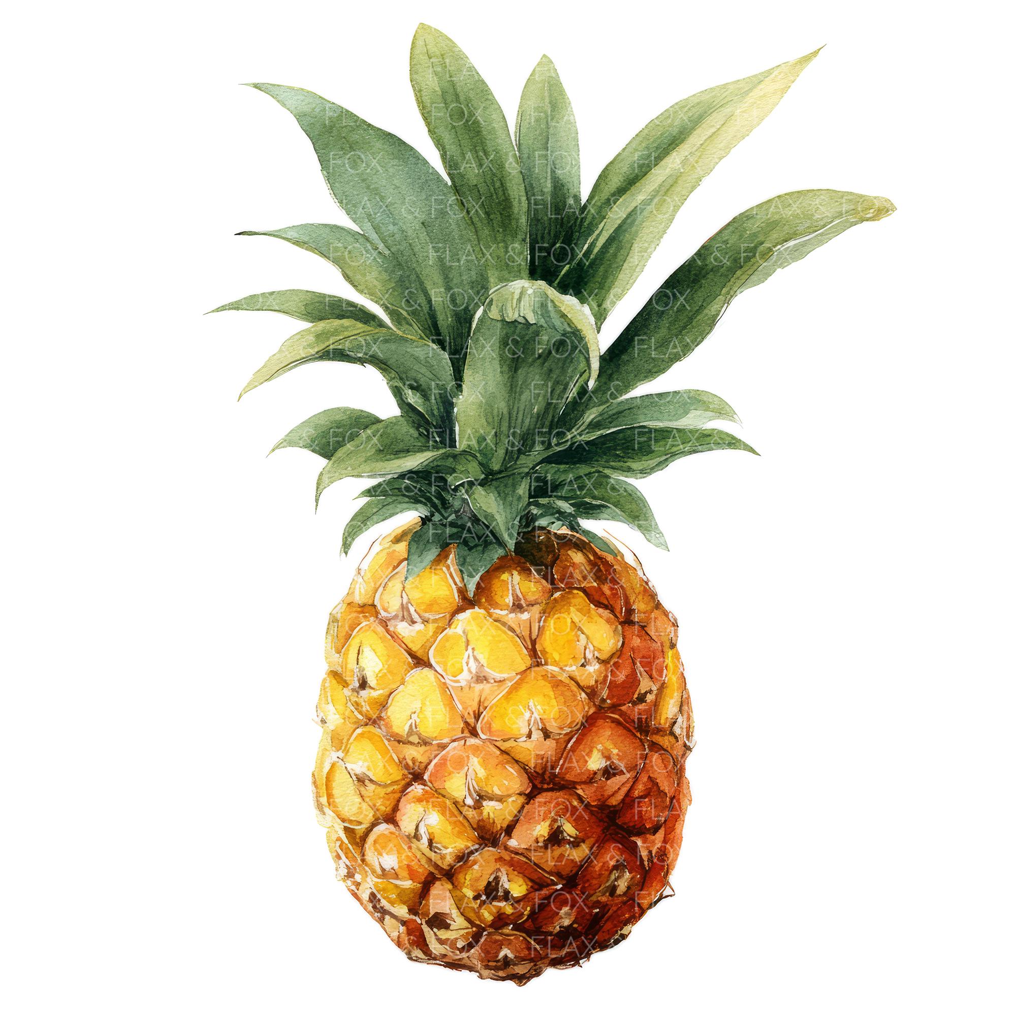15 Pineapple Clipart L Tropical Fruit Illustration L JPG Digital ...