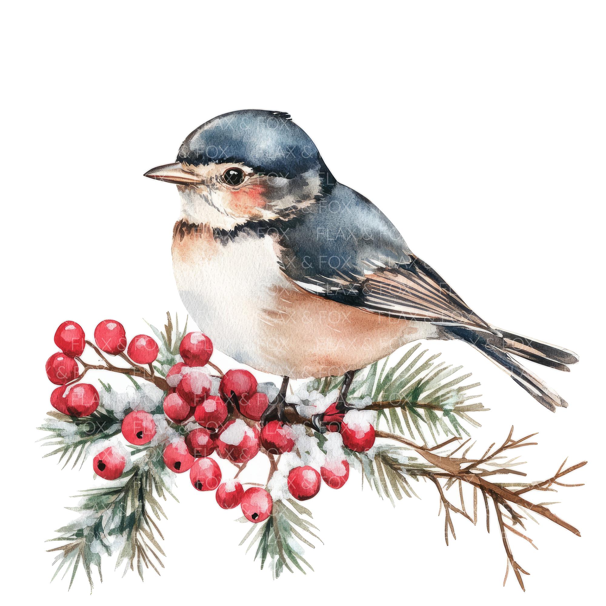 10 Winter Bird Clipart L Christmas Card Decor L JPG Digital Download L ...