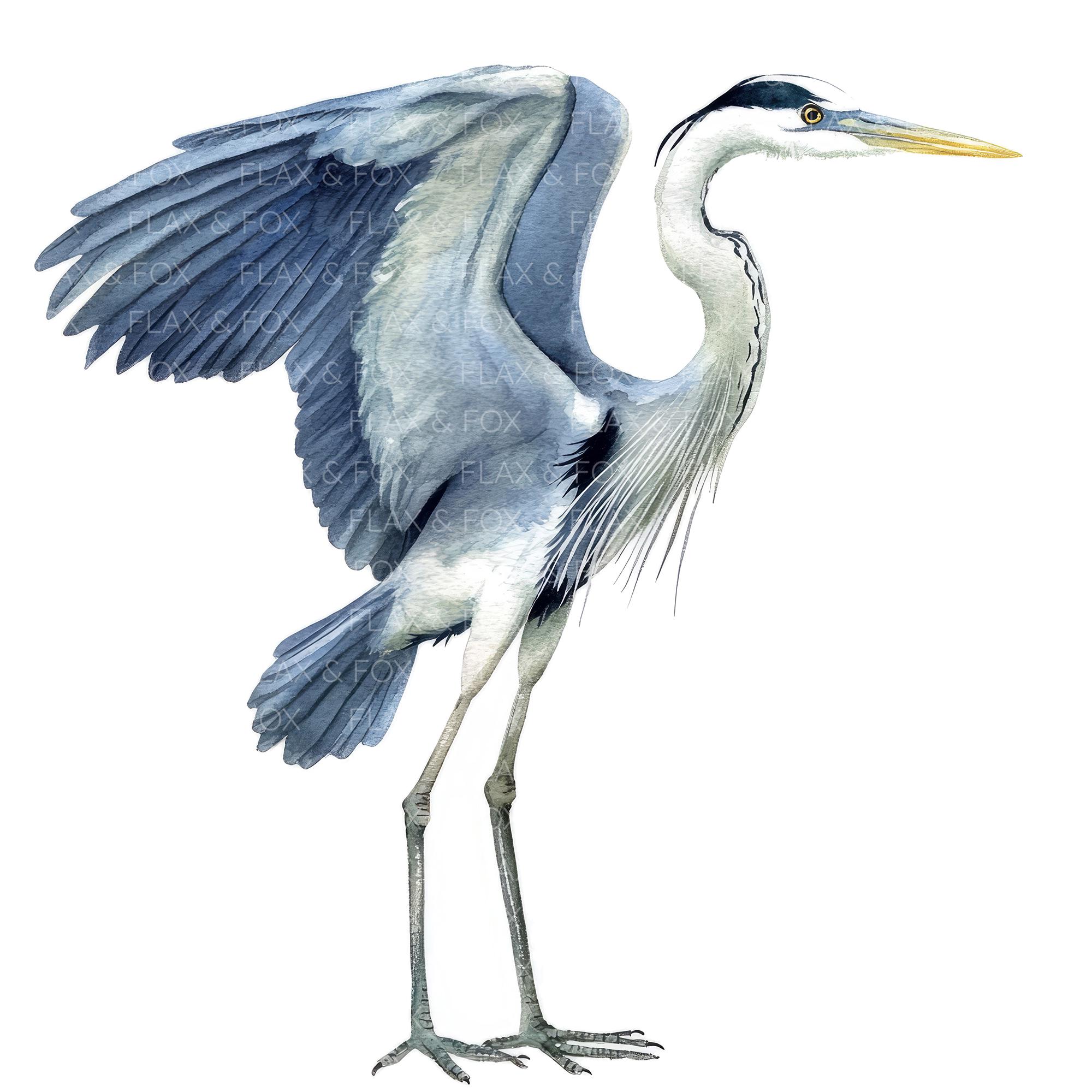 17 Blue Heron Clipart L Bird L JPG Digital Download L Printable ...