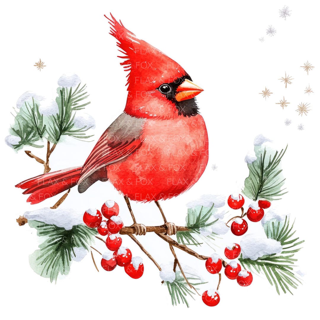 10 Red Cardinal Christmas Clipart L Xmas Card Decor L JPG Digital ...