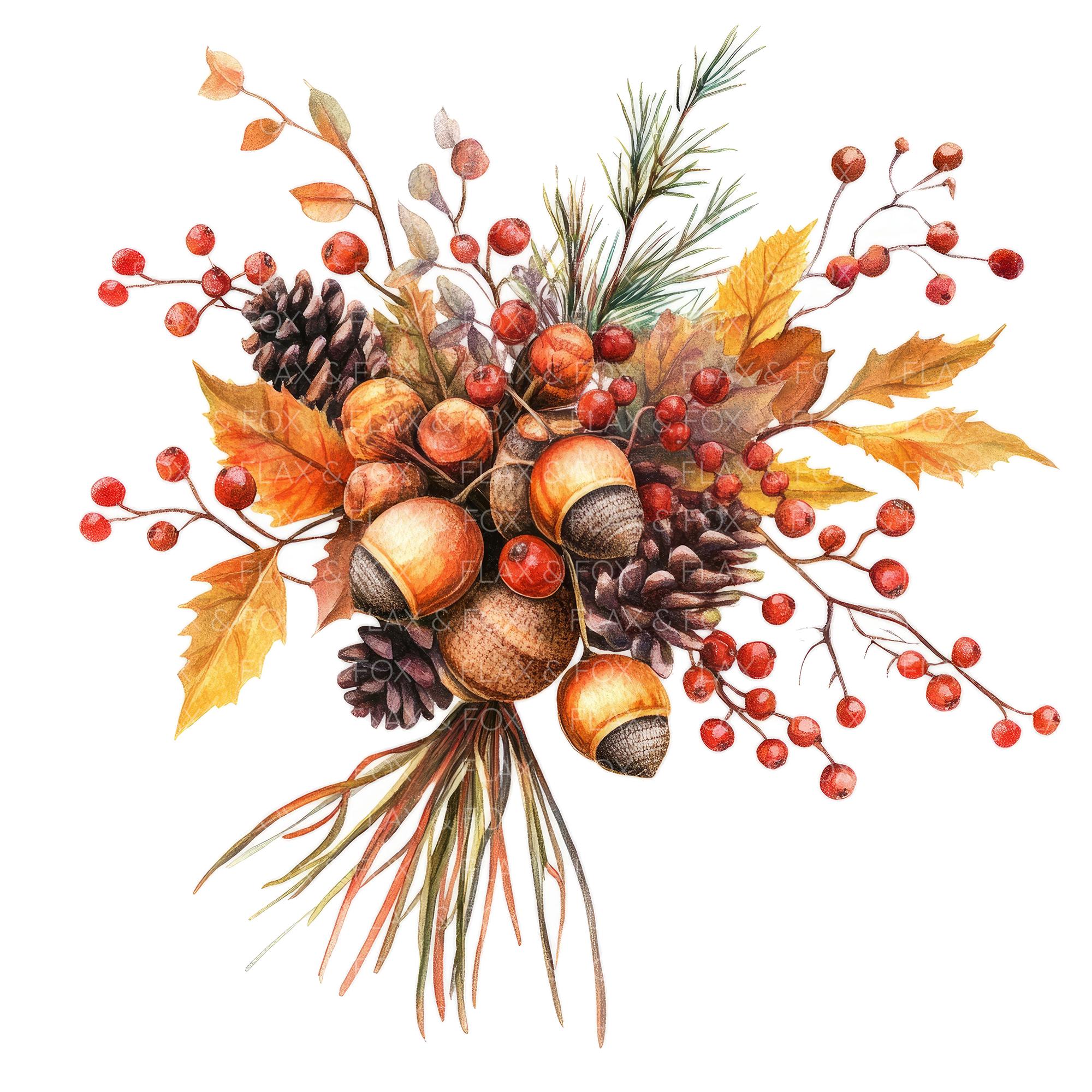 12 Autumn Leaves Acorns Pinecones Bouquet Clipart L Floral Arrangement ...