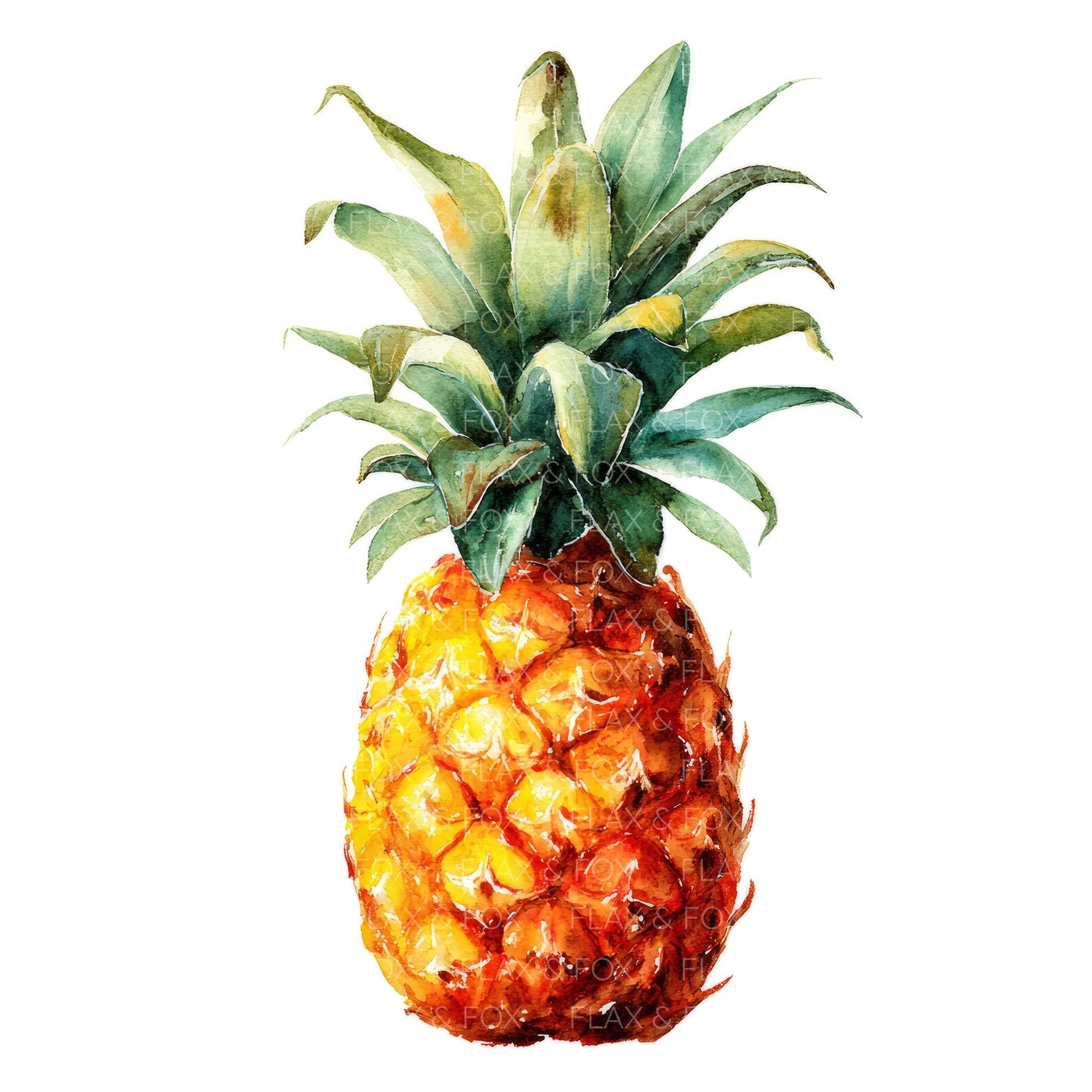 15 Pineapple Clipart L Tropical Fruit Illustration L JPG Digital ...