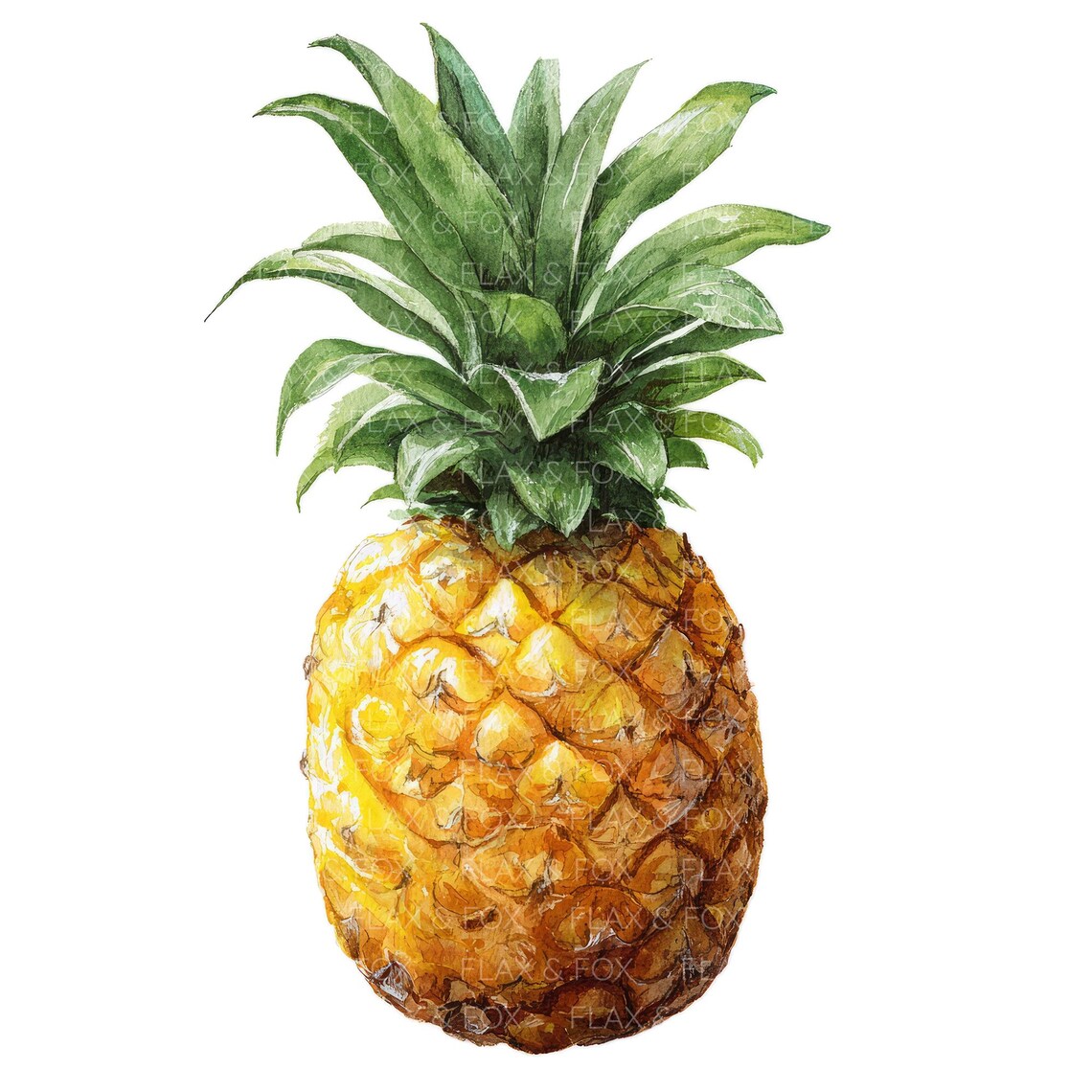 15 Pineapple Clipart L Tropical Fruit Illustration L JPG Digital ...