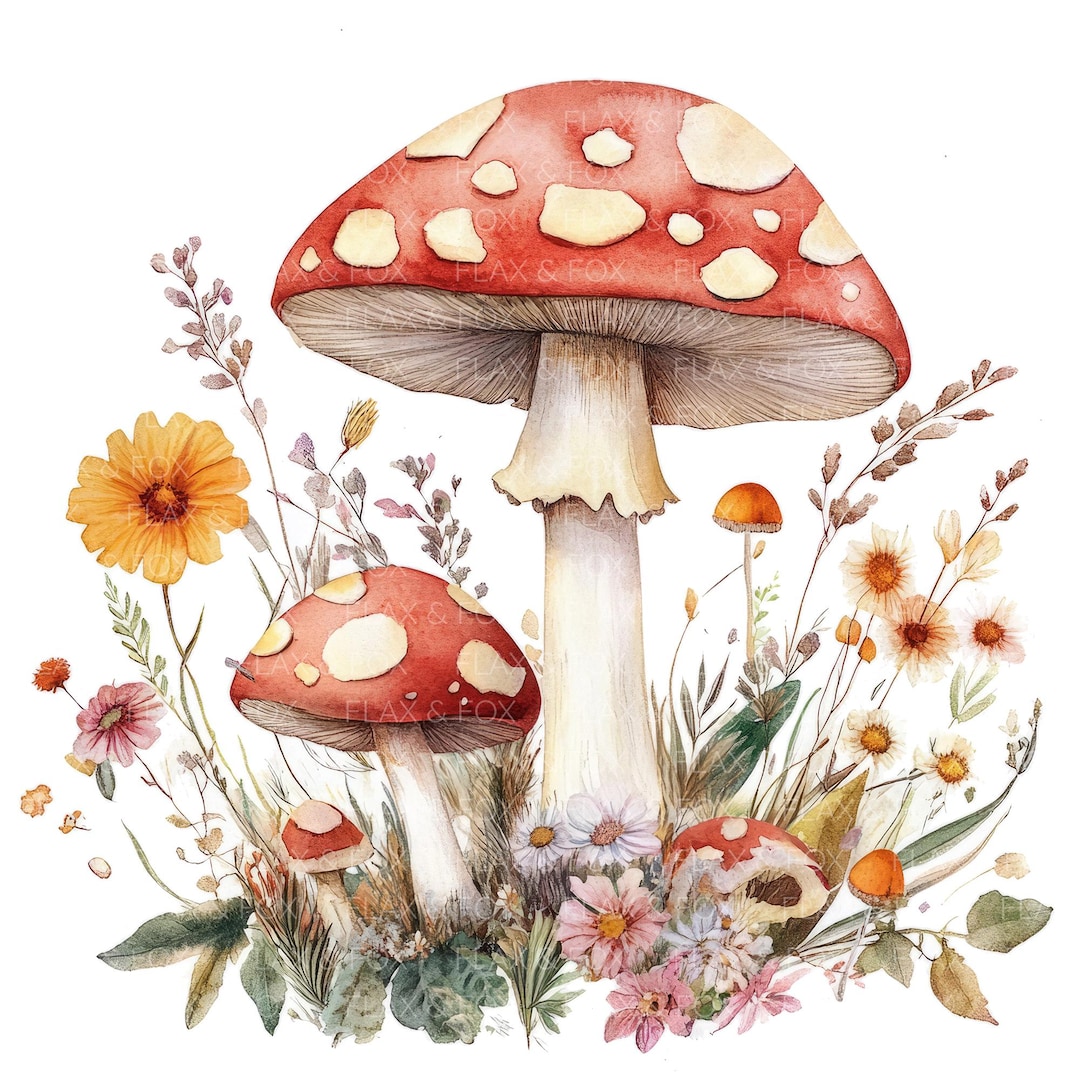 14 Agaric Mushroom Clipart L Forest Floral L JPG Digital Download L Printable Watercolor Clipart ...