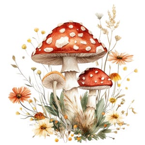 14 Agaric Mushroom Clipart L Forest Floral L JPG Digital Download L Printable Watercolor Clipart ...