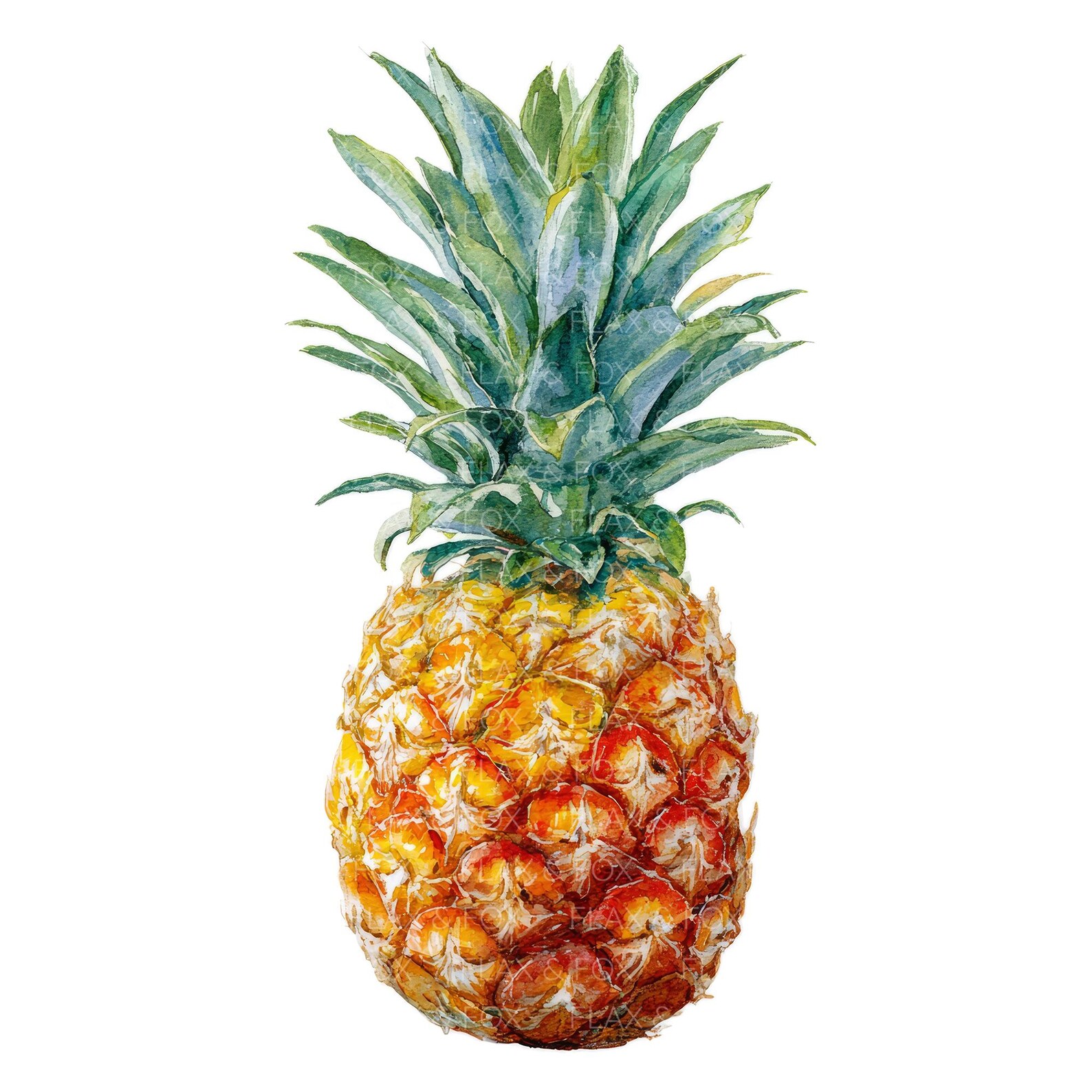 15 Pineapple Clipart L Tropical Fruit Illustration L JPG Digital ...