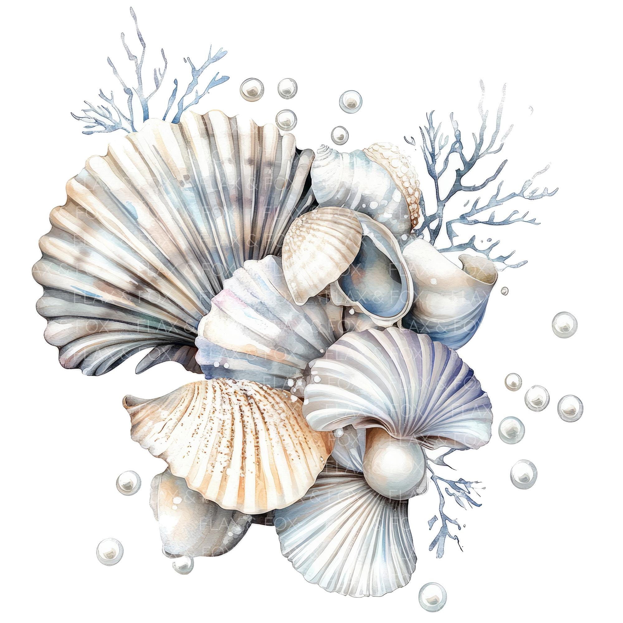 10 Seashell Clipart L Sea Shells Coral L JPG Digital Download L ...