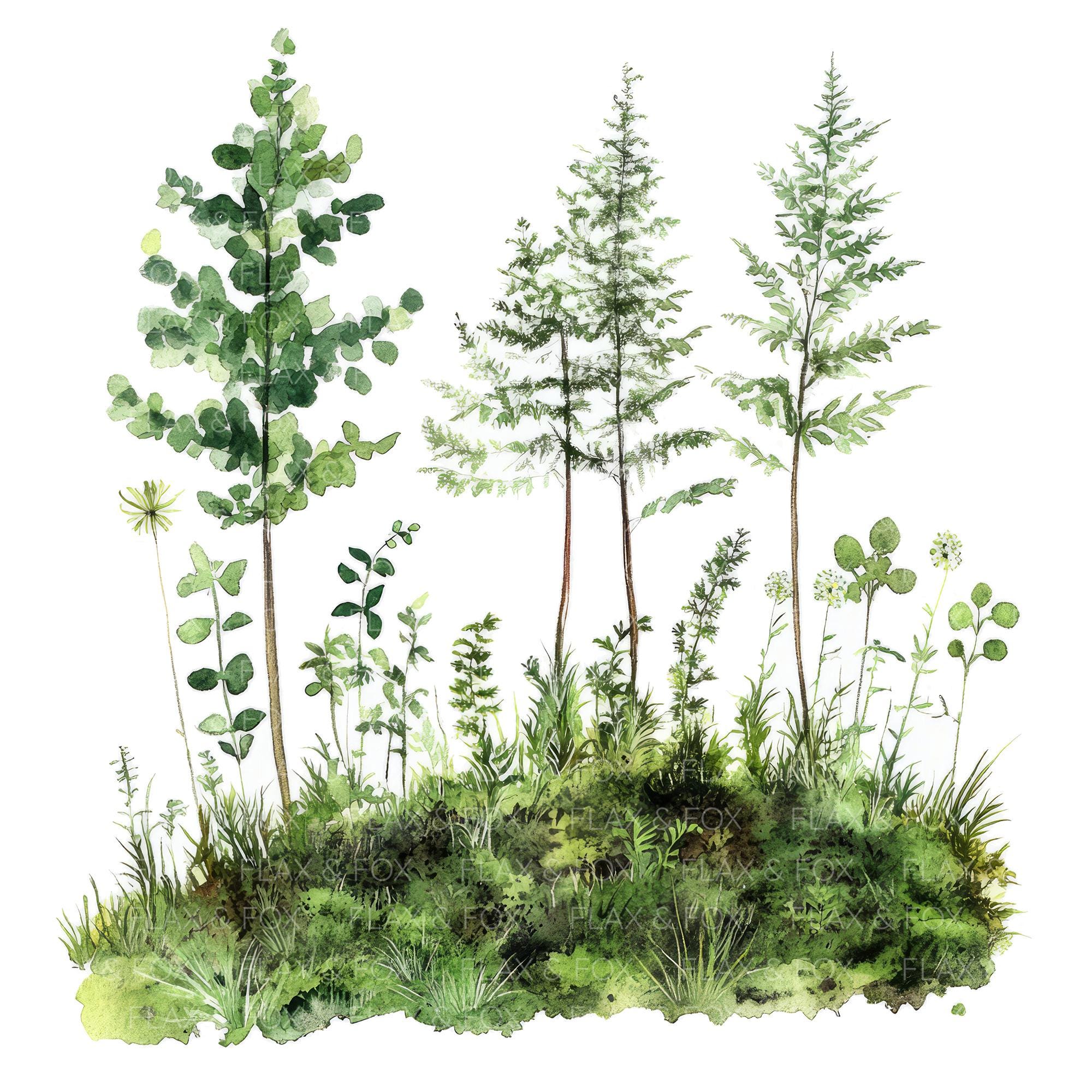 10 Forest Fern Clipart L Moss Leaves L JPG Digital Download L Printable ...