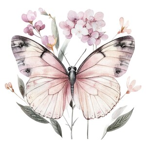 10 Pink Floral Butterfly Clipart L Boho Butterfly L JPG Digital ...