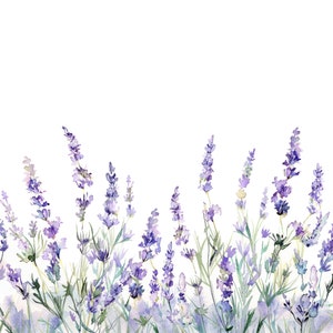 10 Lavender Clipart L Soft Purple Lavender Flowers Border L JPG Digital ...