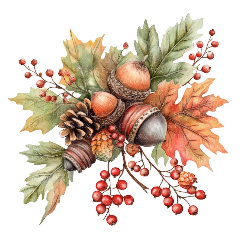 12 Autumn Leaves Acorns Pinecones Bouquet Clipart L Floral Arrangement ...