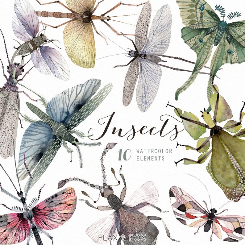 Insects Watercolor Elements hand painted clipart floral | Etsy