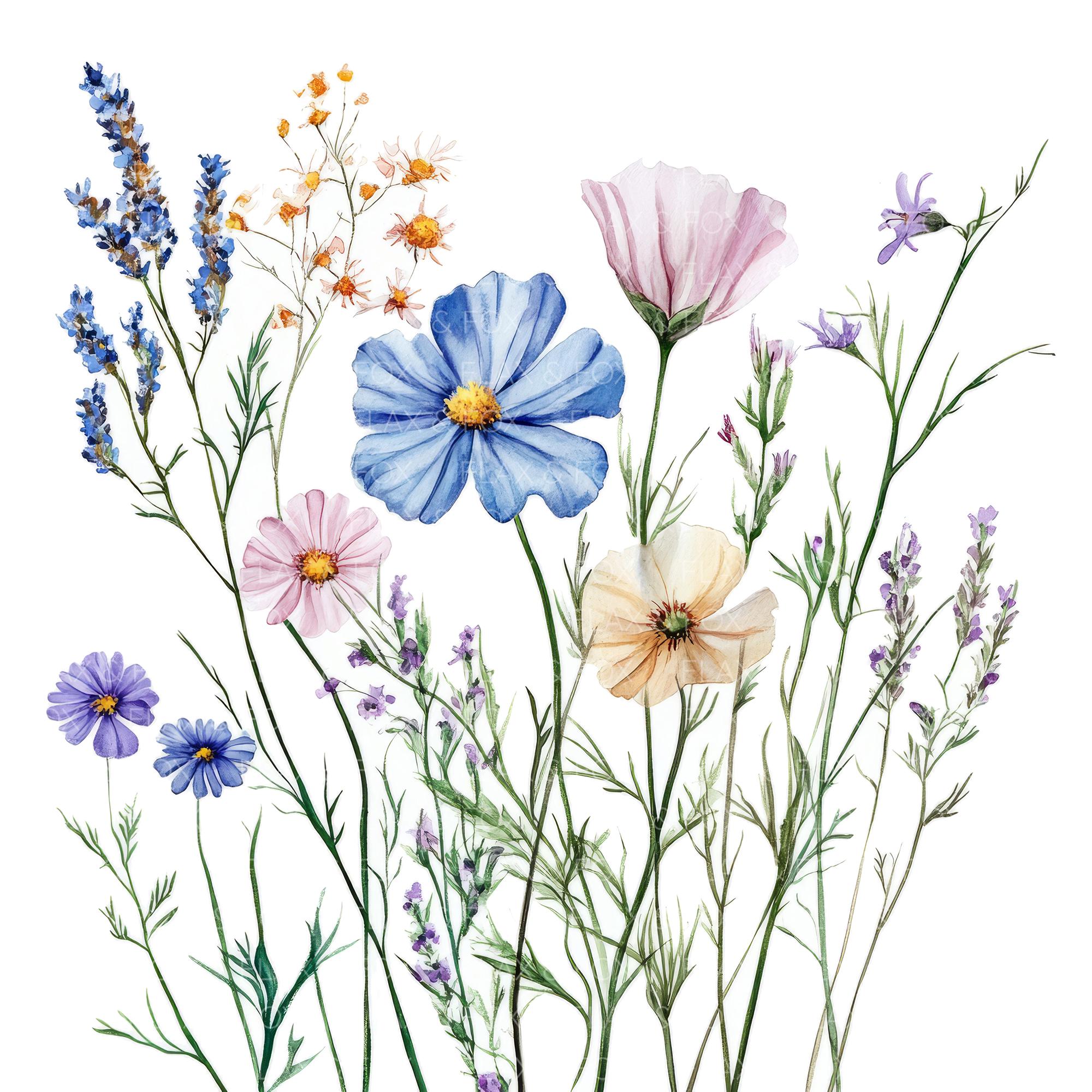 16 Summer Wildflowers Bouquet Clipart L Boho Flowers L JPG Digital ...