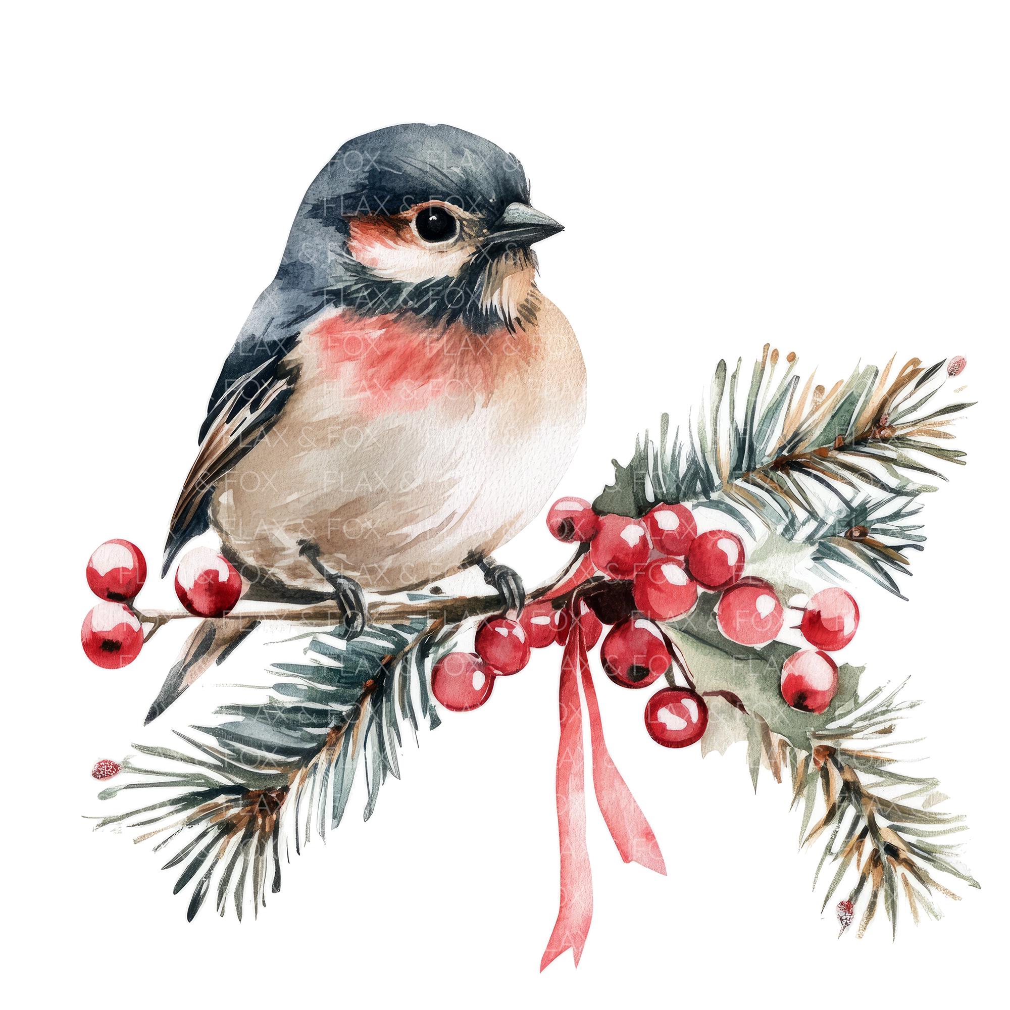 10 Winter Bird Clipart L Christmas Card Decor L JPG Digital Download L ...