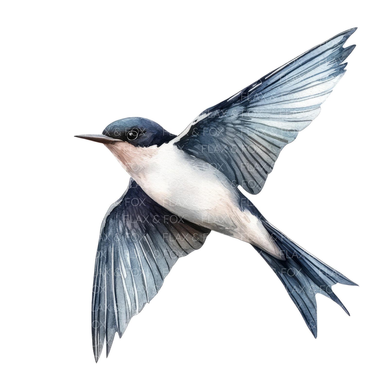 10 Swallow Clipart L Flying Swallow Bird L JPG Digital Download L ...