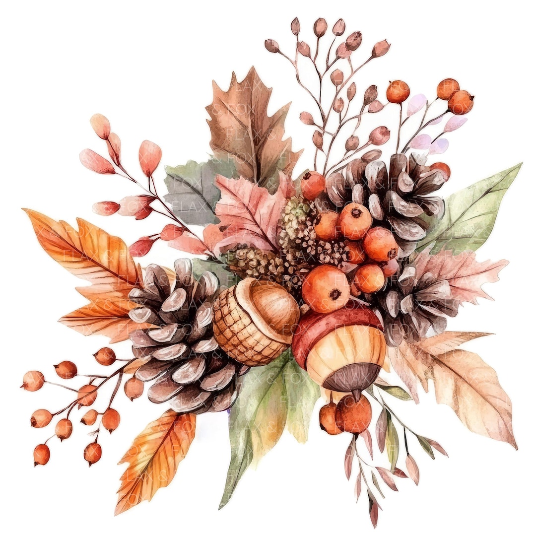 12 Autumn Leaves Acorns Pinecones Bouquet Clipart L Floral Arrangement ...