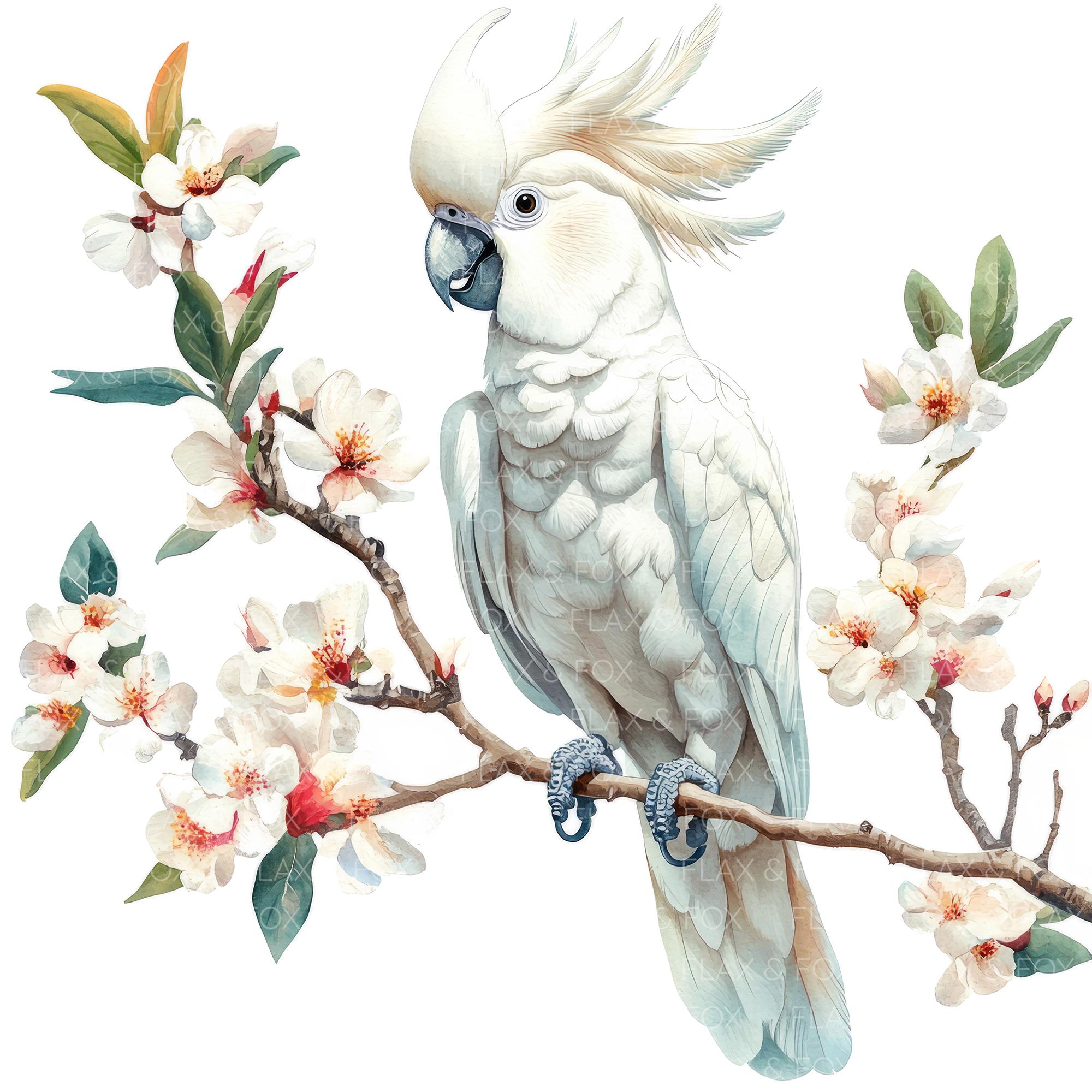 12 Tropical Cockatoo Clipart L Parrot Bird and Flower L JPG Digital ...