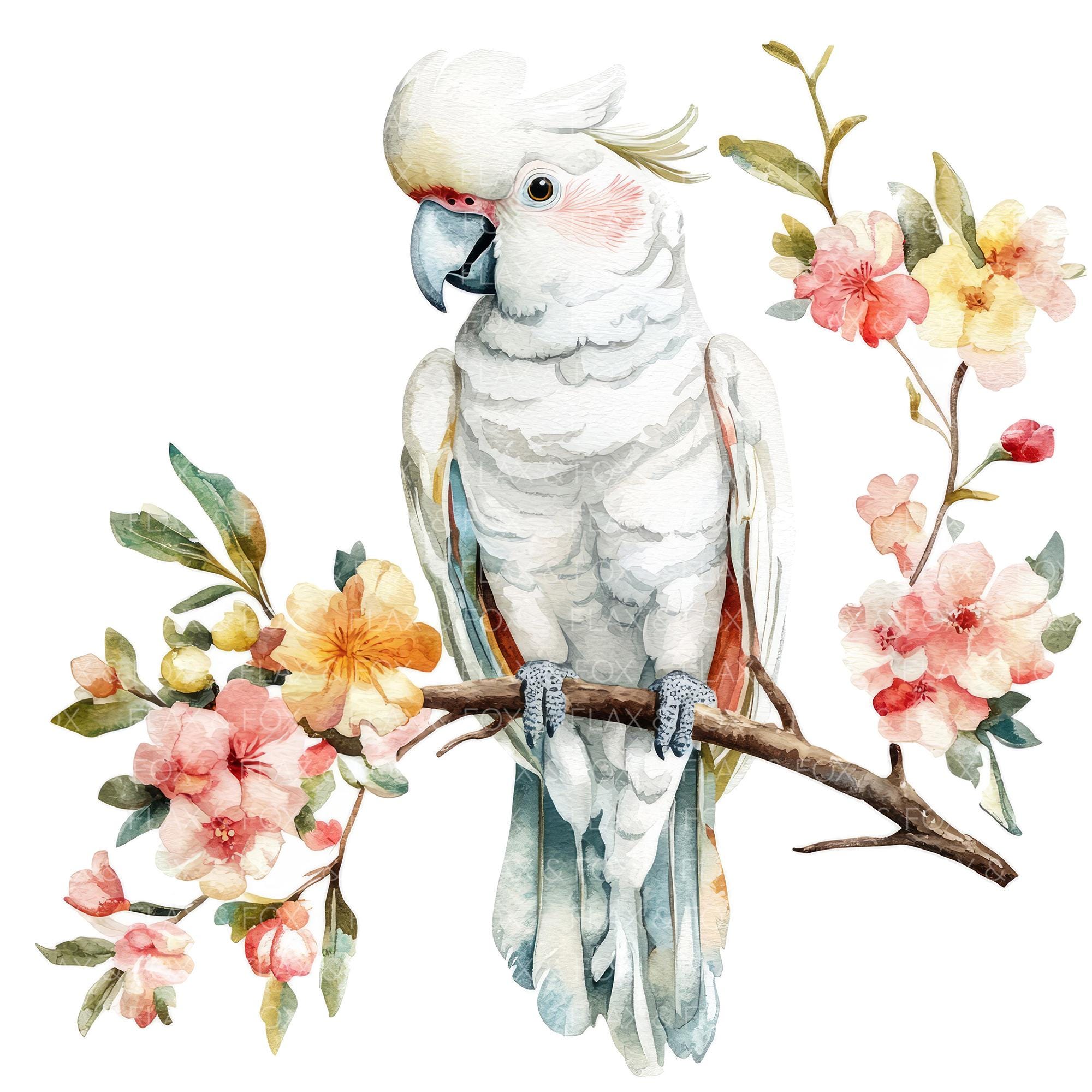 12 Tropical Cockatoo Clipart L Parrot Bird and Flower L JPG Digital ...