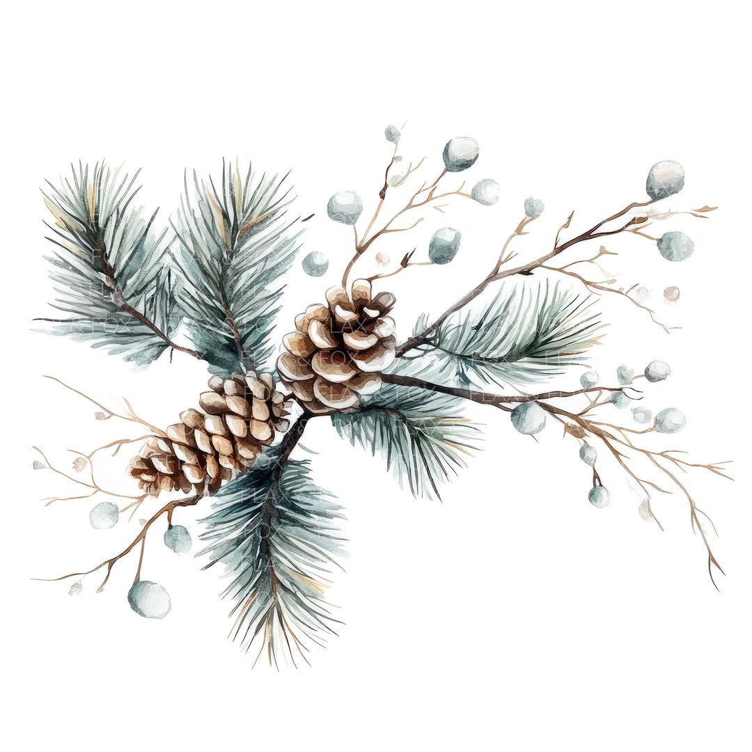 12 Winter Branch Clipart L Evergreen Christmas Decor L JPG Digital ...