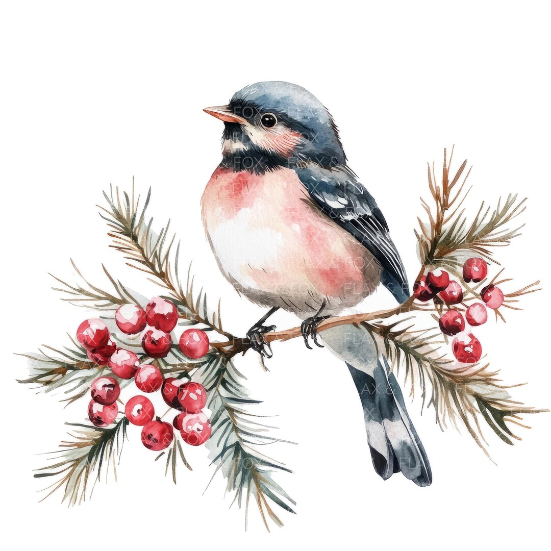 10 Winter Bird Clipart L Christmas Card Decor L JPG Digital Download L ...