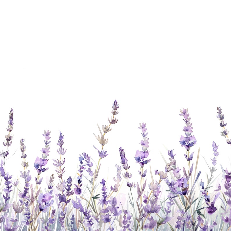 10 Lavender Clipart L Soft Purple Lavender Flowers Border L JPG Digital ...