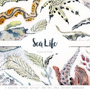Sea Life Digital Paper Flower Digital Paper, Wedding Floral, Patterns ...