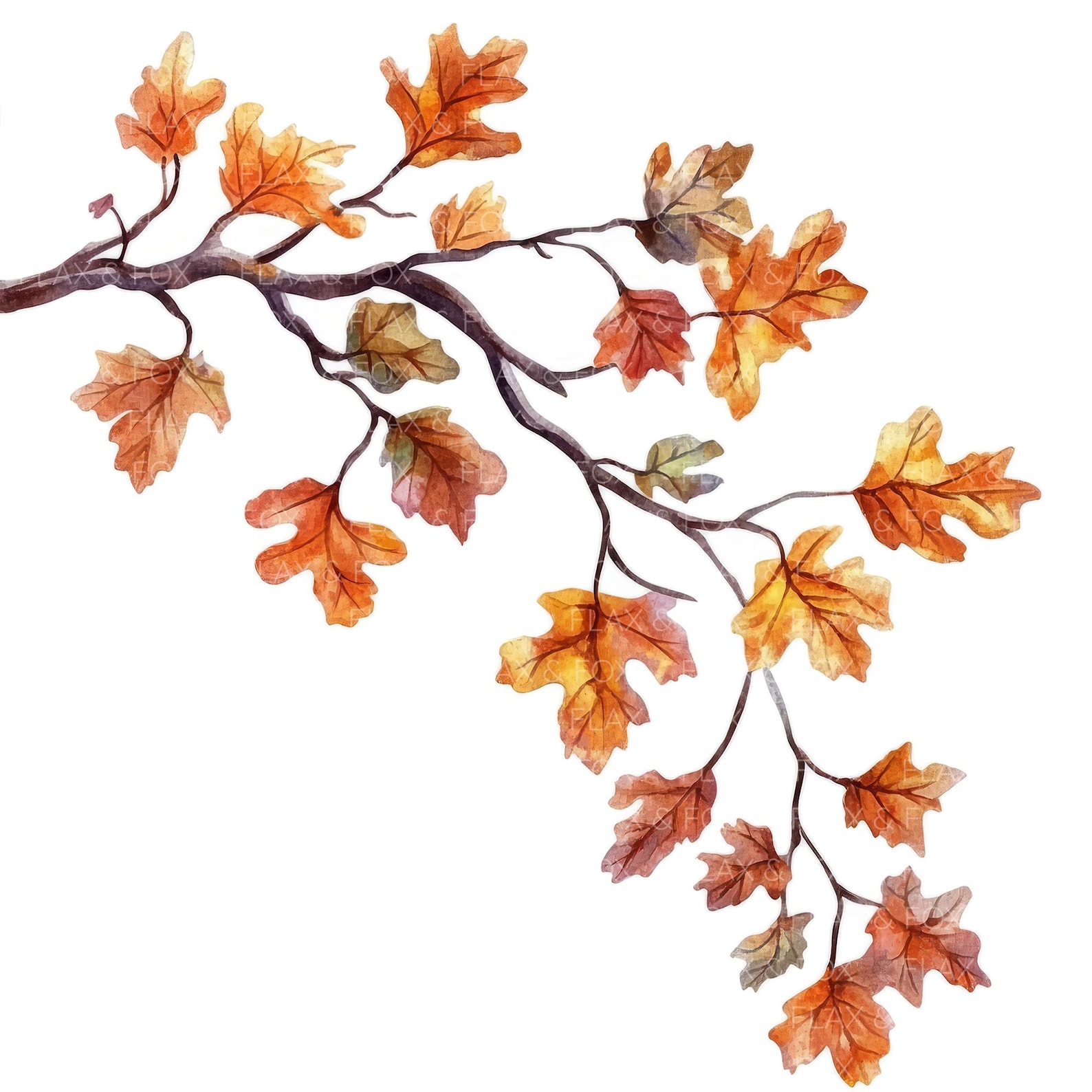 10 Falling Autumn Leaves Clipart L Oak Tree Branch Fall Decor L JPG ...