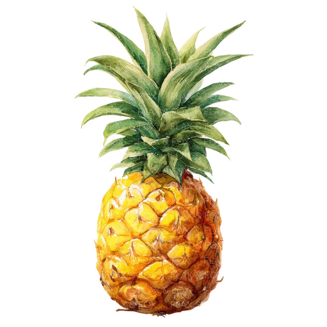 15 Pineapple Clipart L Tropical Fruit Illustration L JPG Digital ...