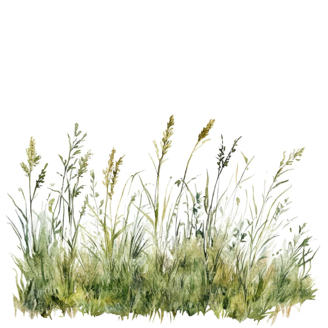 12 Grassland Clipart L Grass L JPG Digital Download L Printable ...