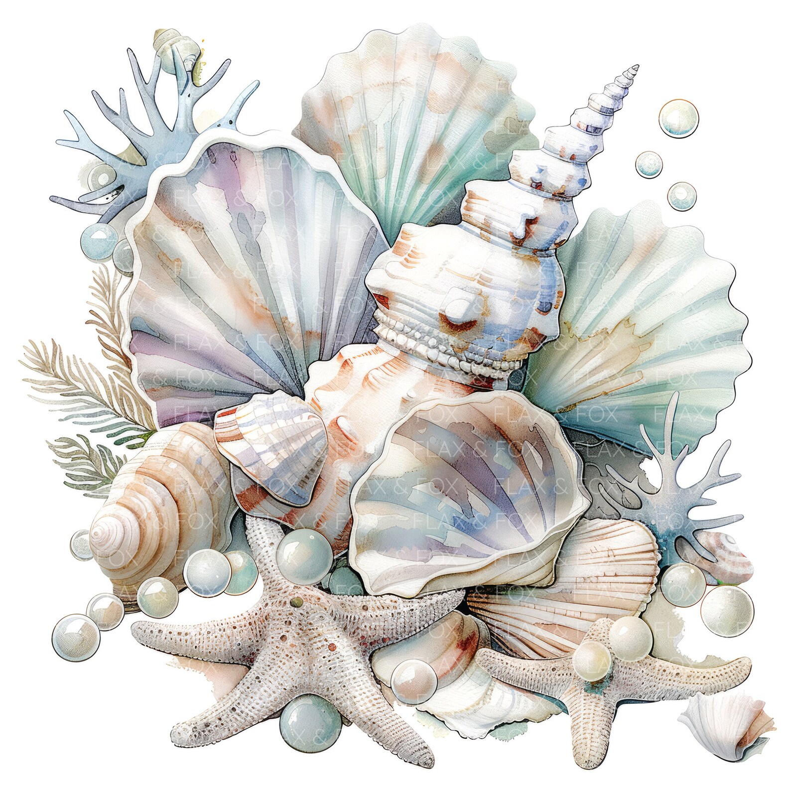 12 Seashell Clipart L Sea Shells Coral L JPG Digital Download L ...